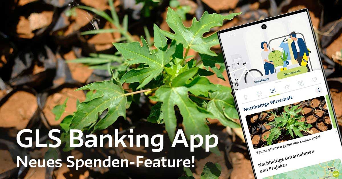 GLS Spendenfeature – einfach Nachhaltigkeit fördern - GLS Bank